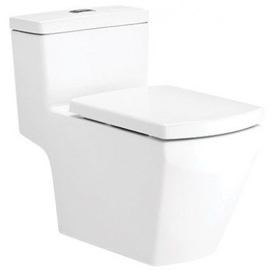 Bồn cầu COTTO C10317 - Xí bệt bàn cầu 1 khối - Tuấn Đức