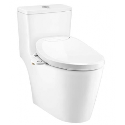 Bộ Nút Nhấn Xả Cotto C942102 Bồn Cầu Âm Tường - Tuấn Đức