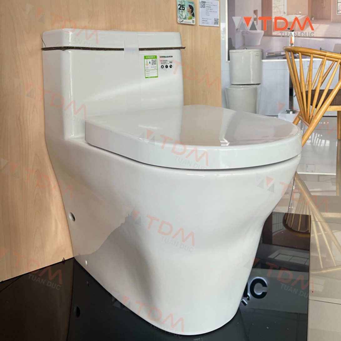 Bồn cầu TOTO CW166RB/TC384CVK nắp êm - Xí bệt bàn cầu vệ sinh 1 khối