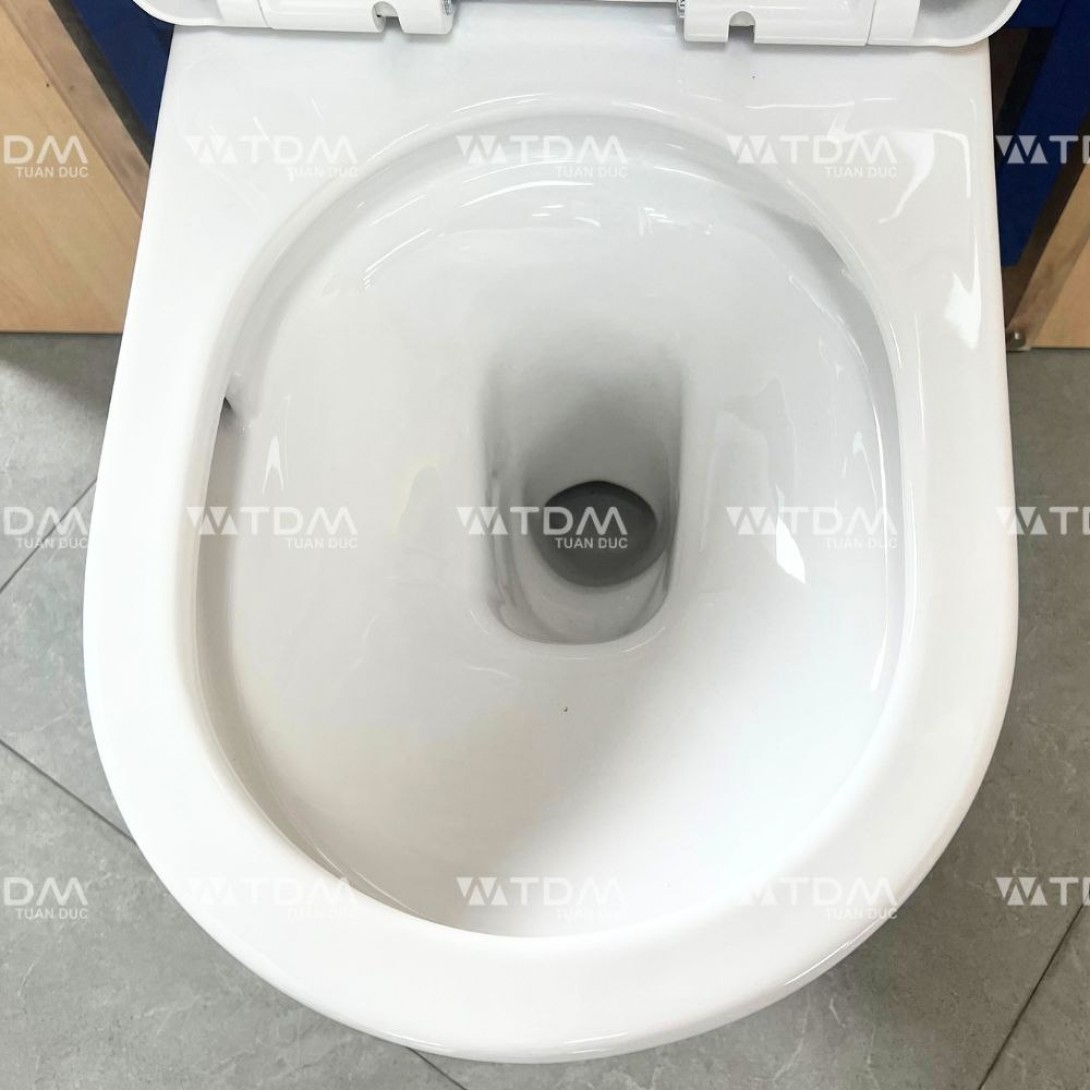 Bồn cầu treo tường TOTO CW762/TC384CVK/WH172A/MB174P#WH