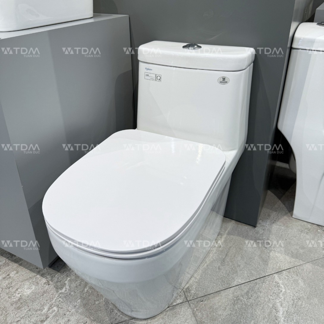 Bồn cầu Viglacera V68 xả xoáy 1 khối Hải Vân + VG826 + VG853 - Tuấn Đức