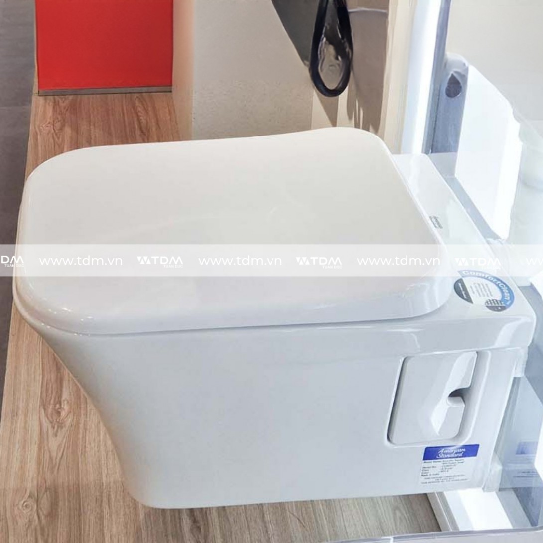 Bồn Cầu American Standard WP-2131 WP-C131 G3004A M11785 Treo Tường ...